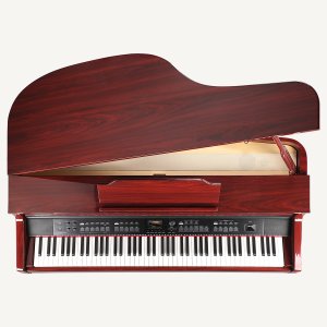 Williams Symphony Grand II Digital Piano