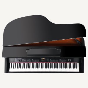 Williams Symphony Grand II Digital Piano